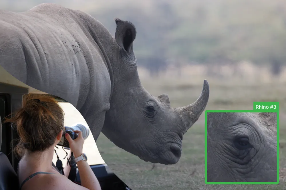Tech for Good: Using AI to Track Rhinos in Kenya